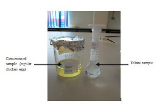 biochemistry: Practical 2 : Protein Experiment