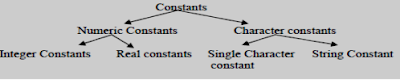 C Constants