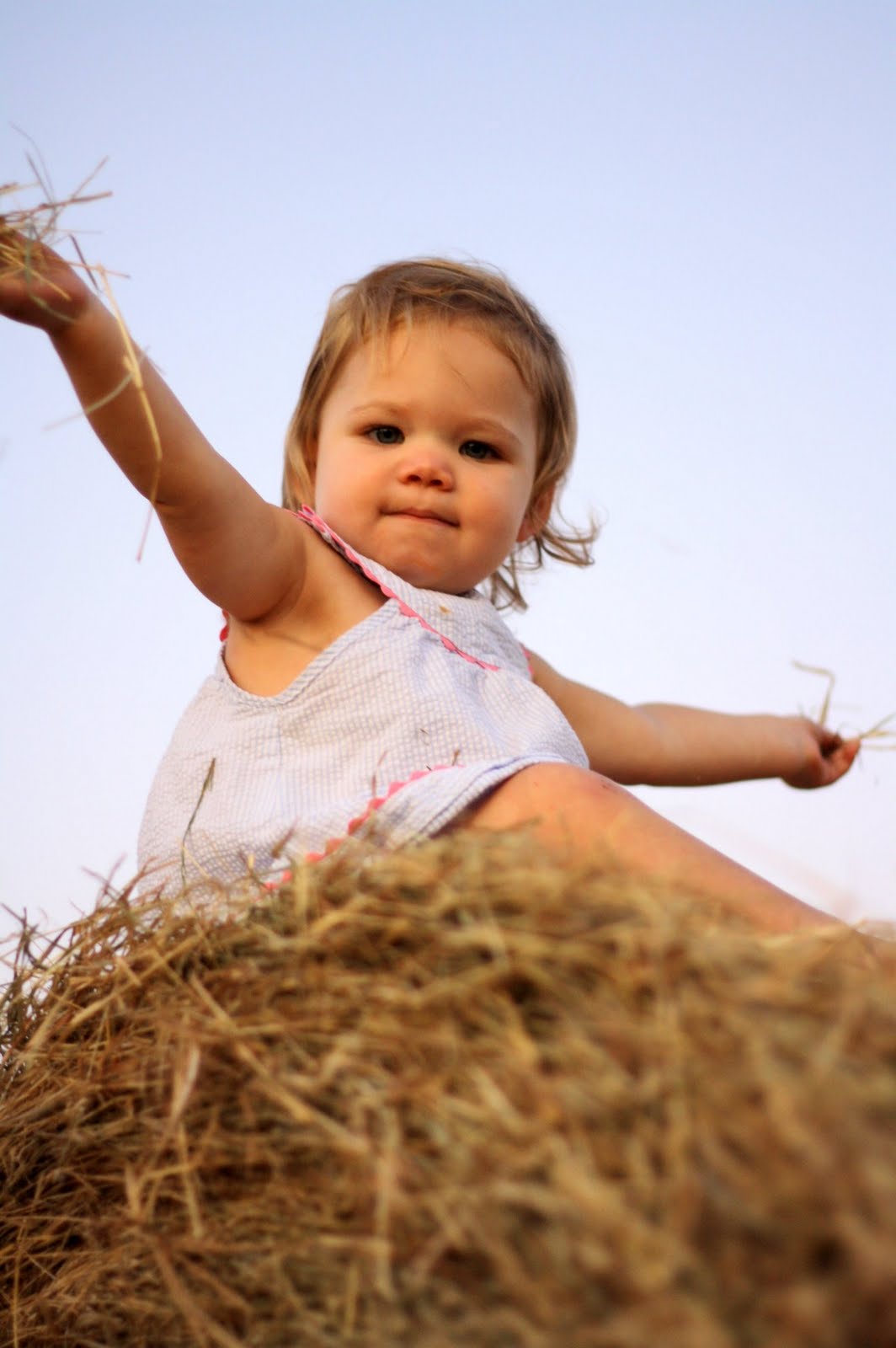 Party of Tew: Hey, Hay Baby!