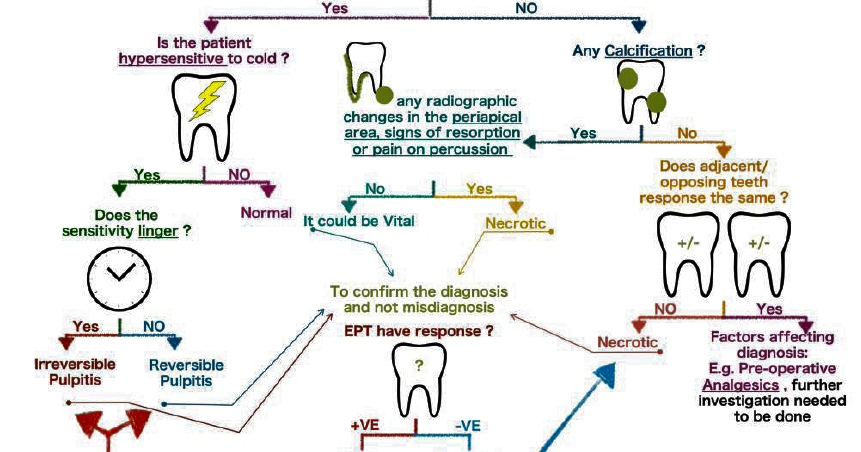 DIAGNOSTIC PROCEDURES l Endodontics MCQs - WikiDentia