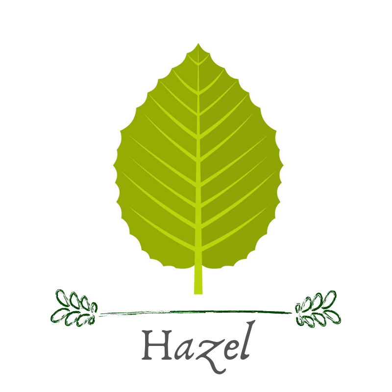 What is Hazel?