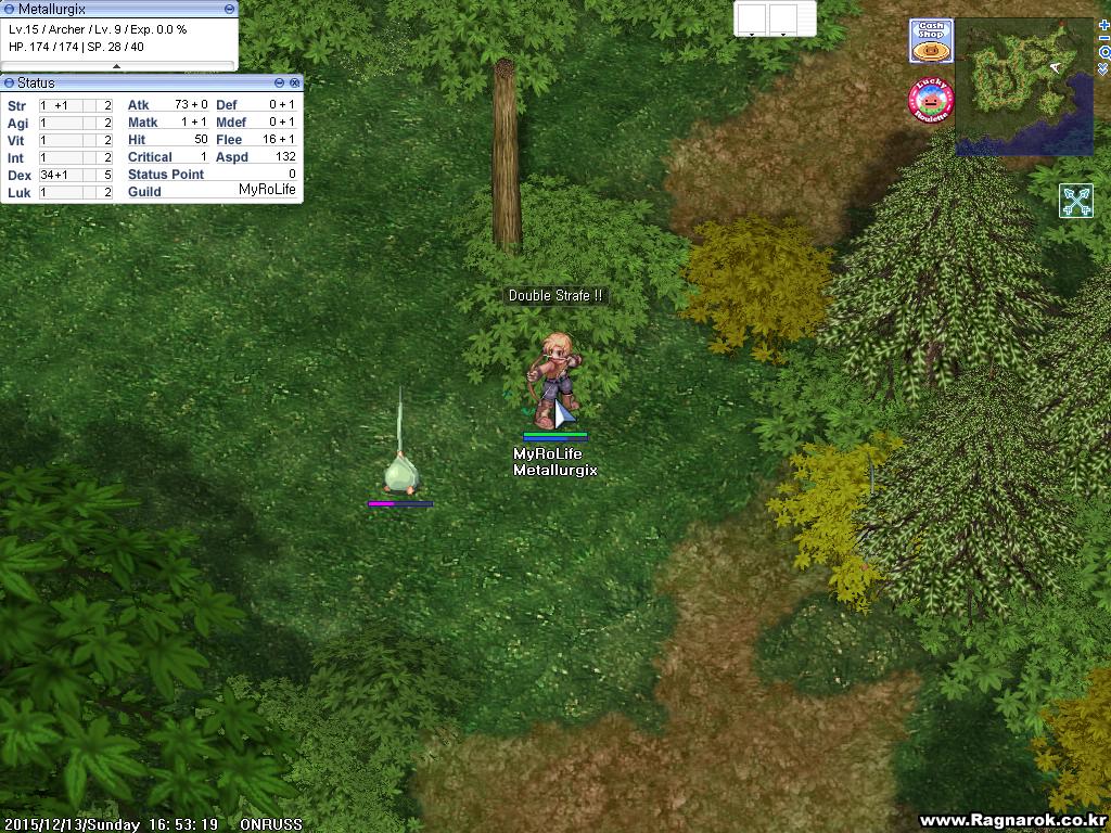 My Life in Ragnarok: Coco's Hunter Leveling Guide