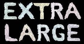 Who are you today?: Extra-Large: Raising A Son With Special Needs