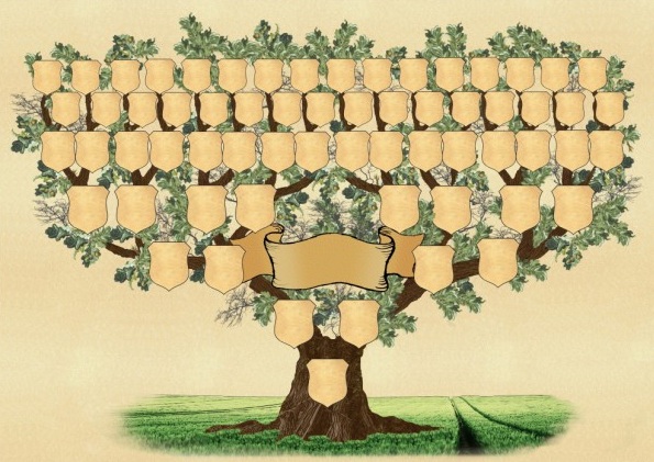 My Roots: Rodokmen jako dárek