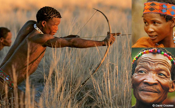 [PDF] Culture And Customs Of Botswana Cultures And Customs Of The World ...