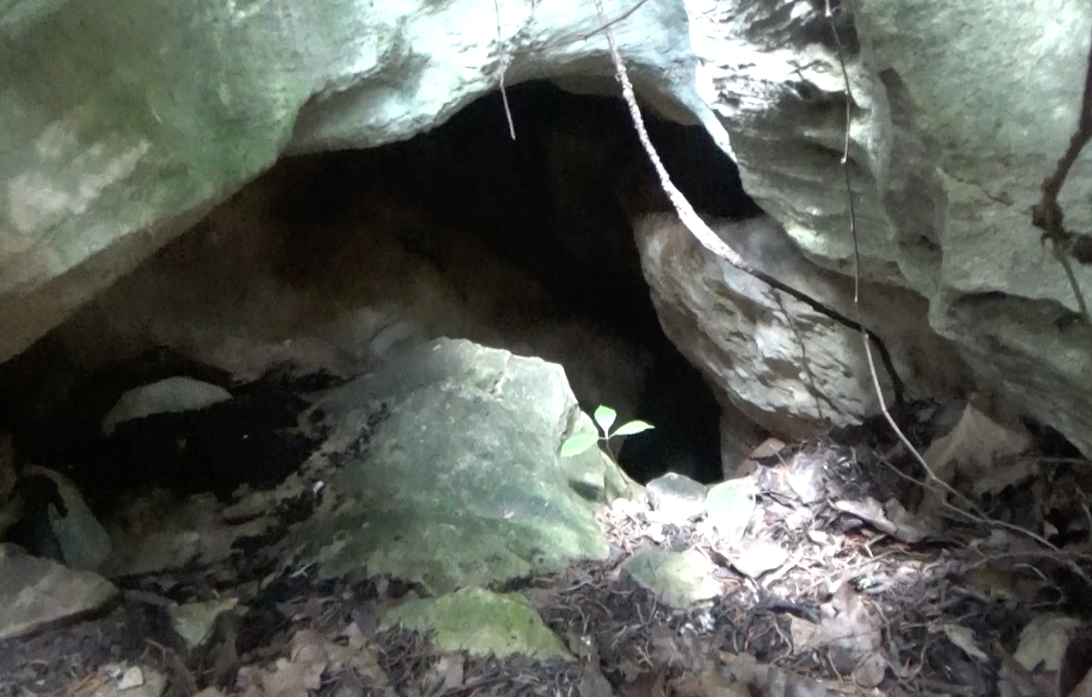 Mixerr Reviews: Exploring Eluvial Cave in Austin, Texas again.