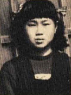 Literacy Roots: Sadako and the Thousand Paper Cranes (language arts unit)