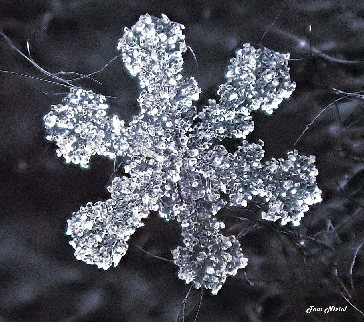 The Weather Around Us: Photographing Snow Crystals - On A Budget