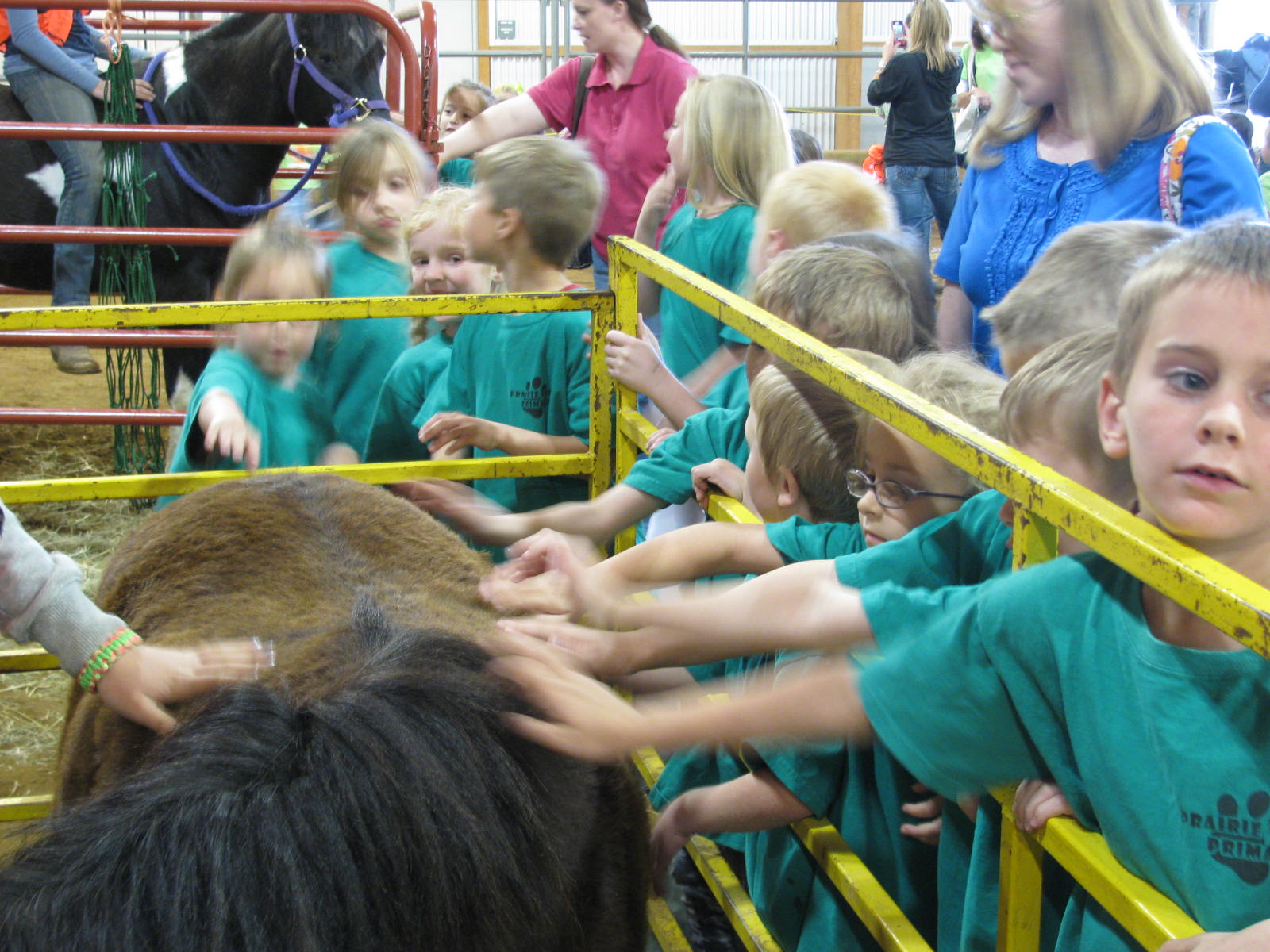 Mrs. Dougan's Kindergarten Class: Farm Friends