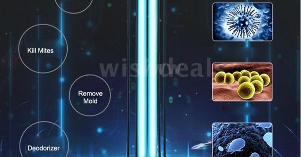 Human Rights Reports: These 5 Effective Methods Kill Bacteria and Viruses