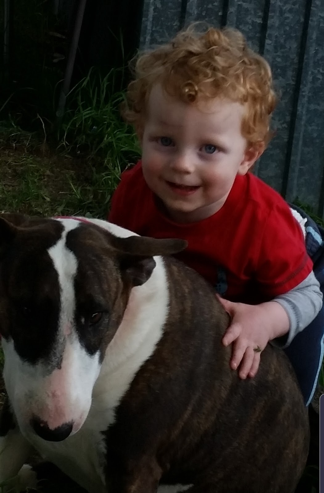 Raising My Little Superheroes : Just a dog named Ruby.