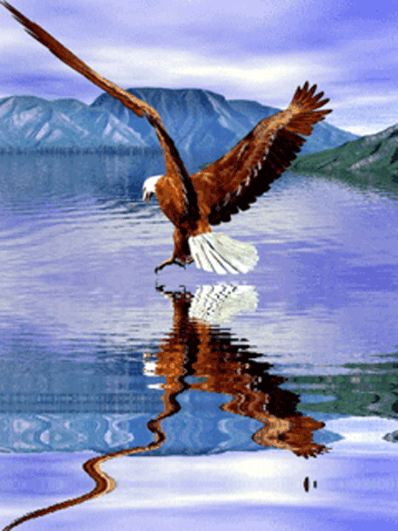 Pasari,leu,lion liliac bat gif miscatoare