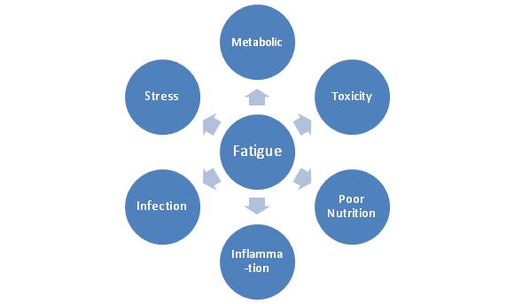 Weight Loss Queen: Tips To Beat Fatigue Naturally