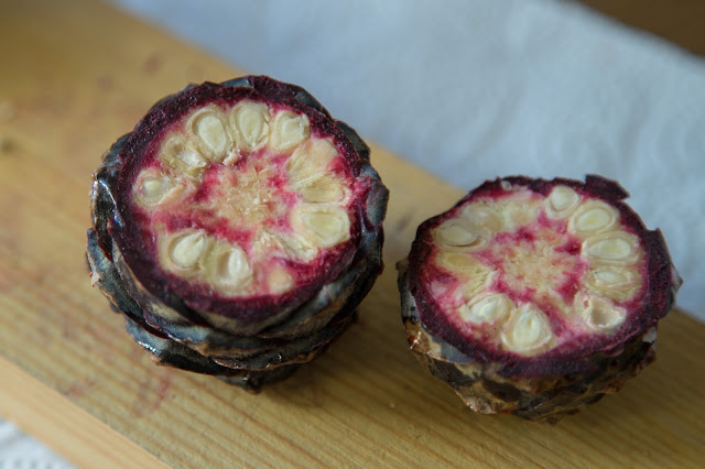 Zirbenschnaps selber machen | Vom Zirbenzapfen zum Zirbenschnaps