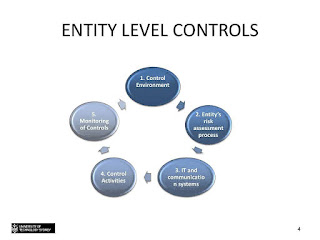 Entity-level controls