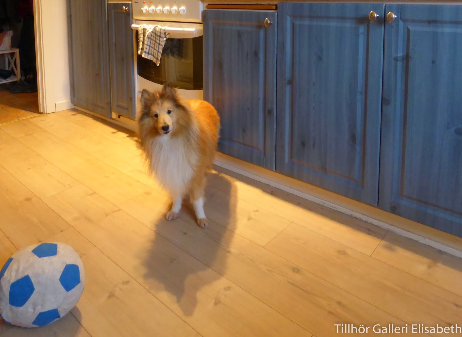 Husbilen Ellen: Grå men "solig" torsdag