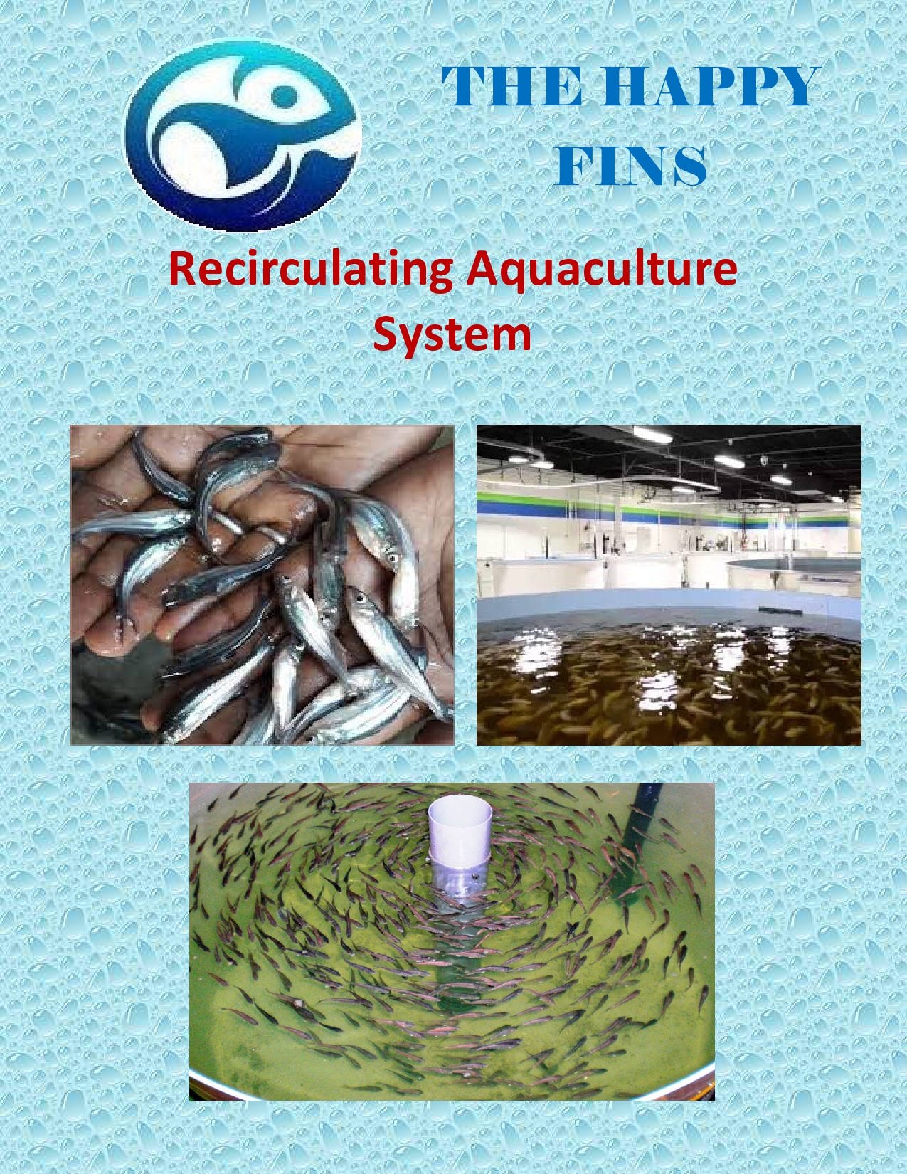 The Happy Fins: RECIRCULATING AQUACULTURE SYSTEM