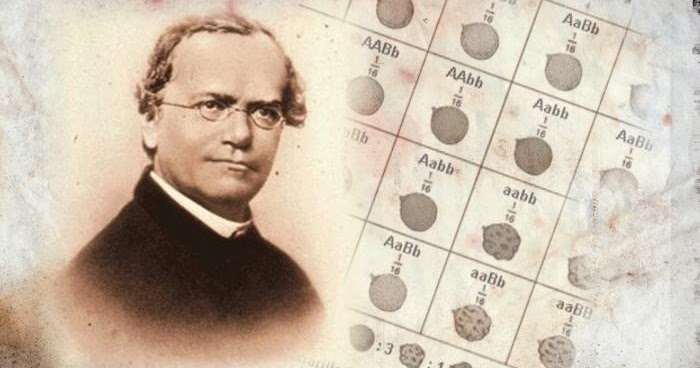 ¿QUIÉN ES MENDEL?