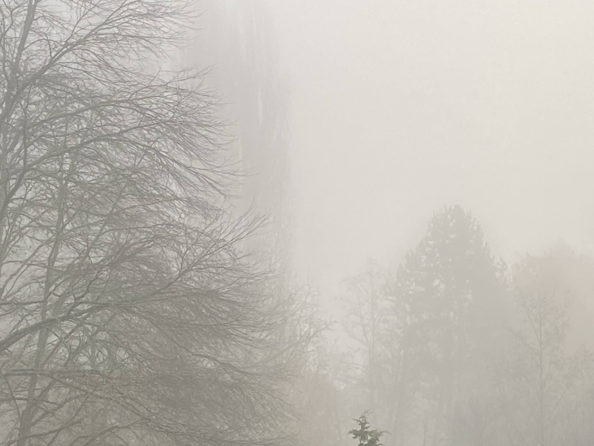 Cliff Mass Weather Blog: When Dense Fog is a Sign of A Sunny Day Ahead