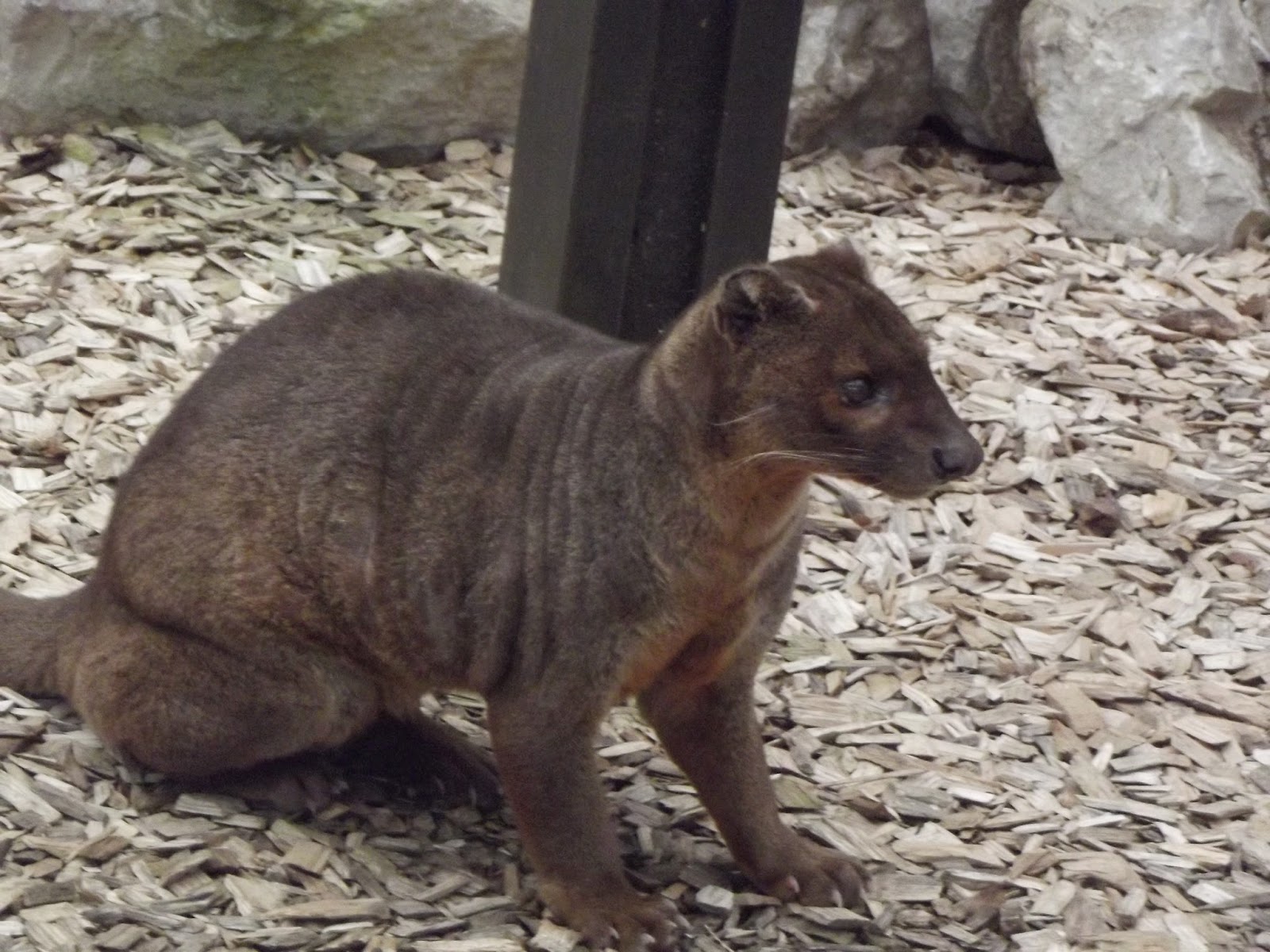 Orangemayhem: March 2014