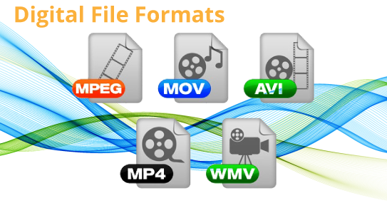 How to Put Video on your Website: Video File Types | SNews-demo-blog-data