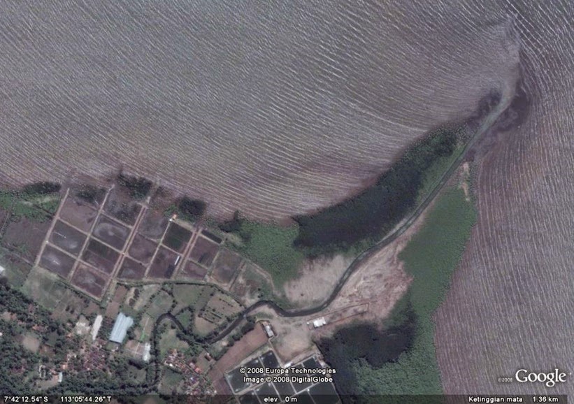 Pengertian Muara Sungai (ESTUARIA) ~ Konsep Perpaduan Pengetahuan dan Sikap