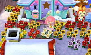 Phoebe's ACNL Blog: What I Did Today