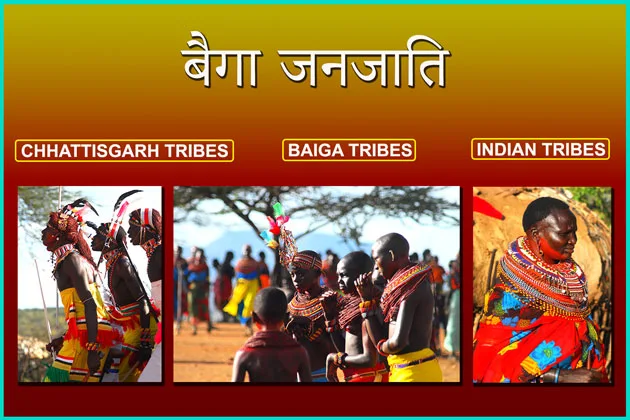 बैगा जनजाति | Baiga Tribes in Hindi : Chhattisgarh Janjati