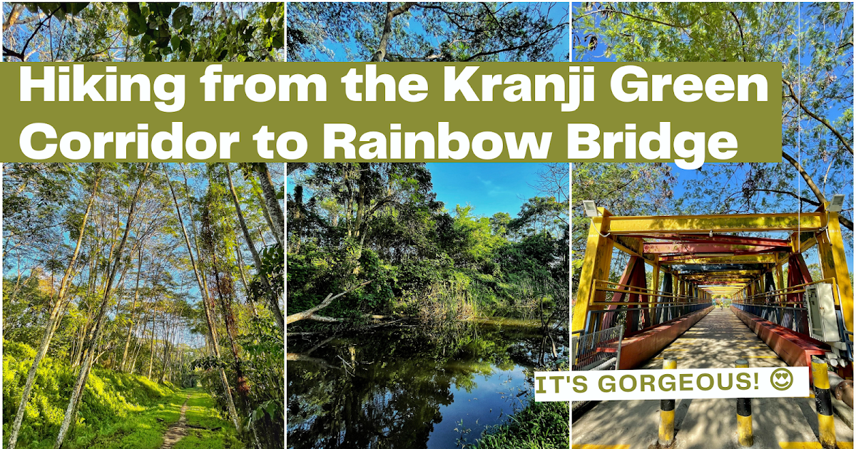 Cheekiemonkies: Singapore Parenting & Lifestyle Blog: [Easy & Gorgeous ...