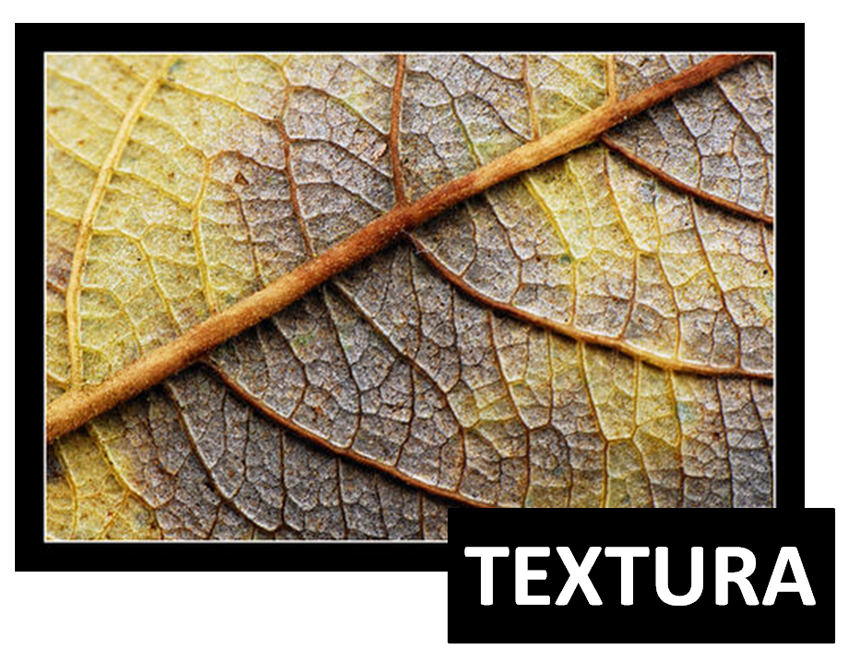 TALLER DE EXPRESIÓN GRÁFICA CCH: 14. ELEMENTOS VISUALES: TEXTURA