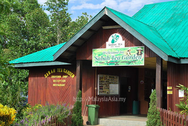 Sabah Tea Garden Review
