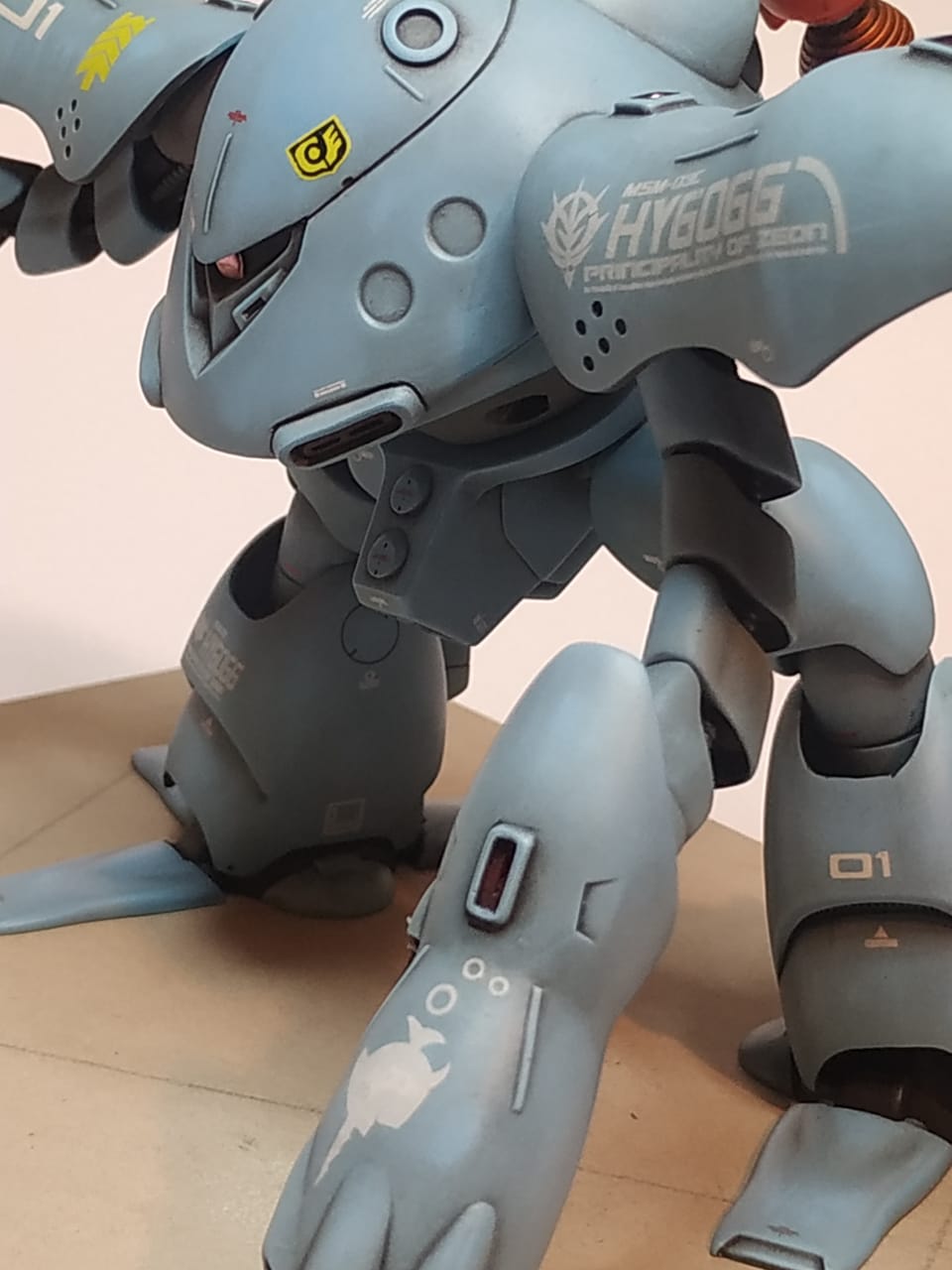 Custom Build: 1/144 Hygogg