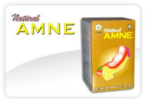 Manfaat Dan Kelebihan Natural Amne (Asam Amino Evolution) | DISTRIBUTOR ...