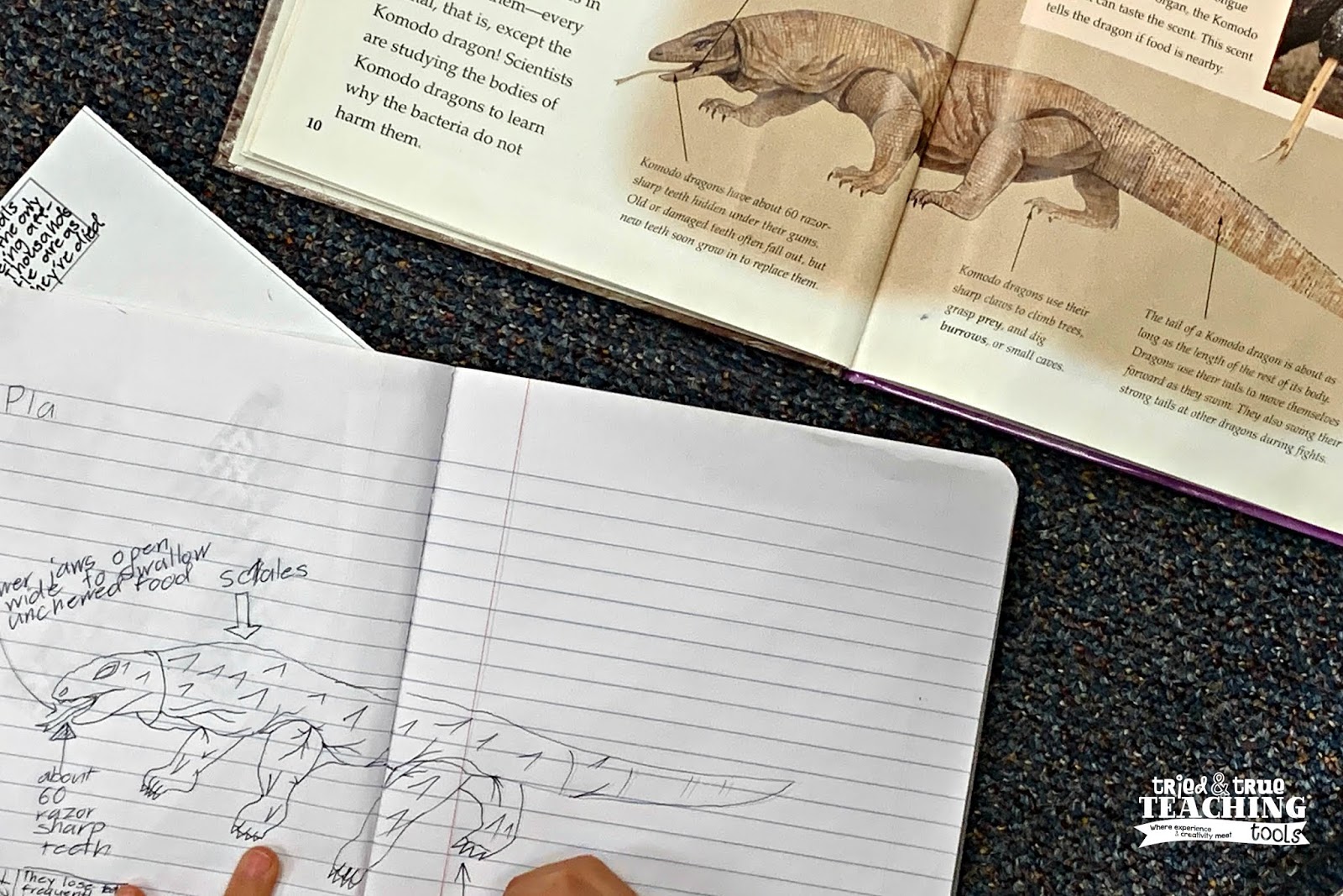 Teaching Effective Note-Taking