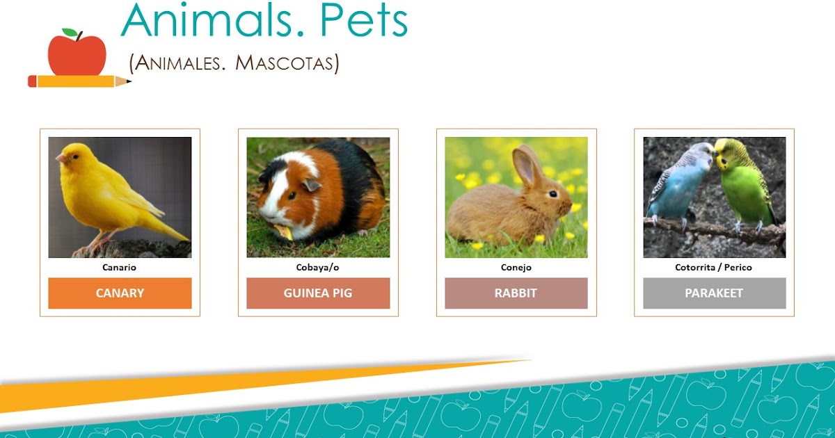 Cultura y TIC: INGLÉS. VOCABULARY. ANIMALS. PETS (MASCOTAS)