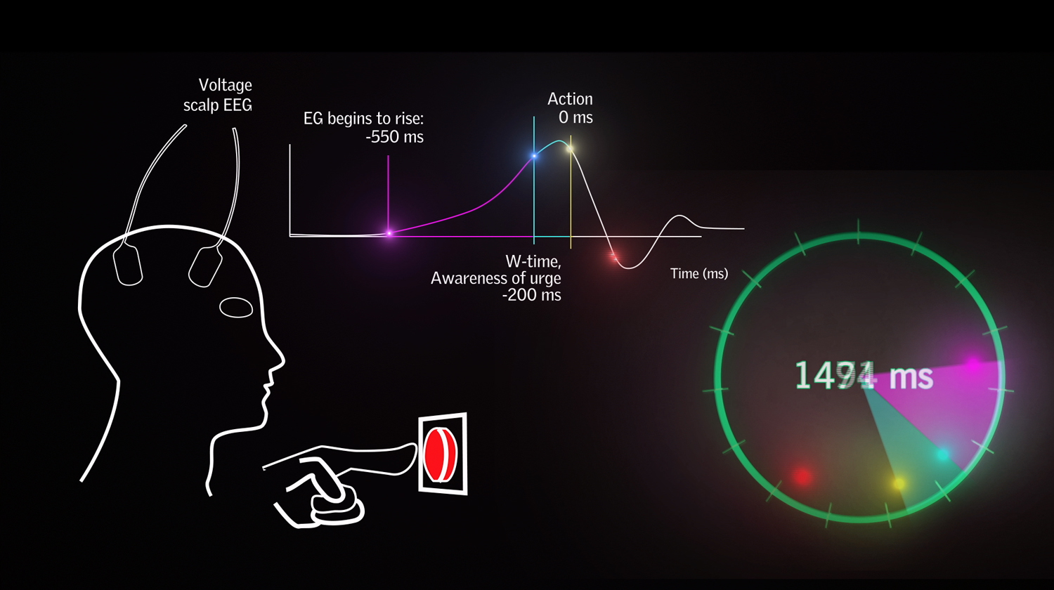 The relationship between free will and consciousness - interpreting the ...