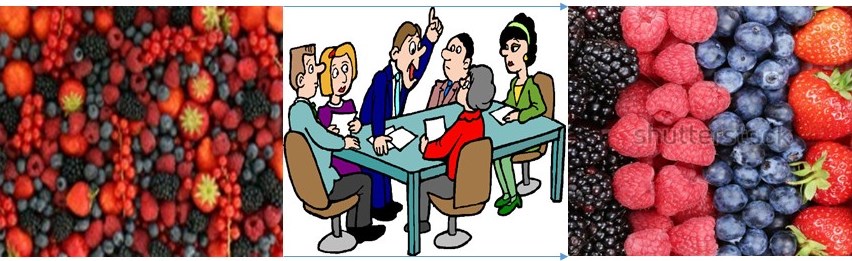 Agile Articles And Blogs Affinity Estimation