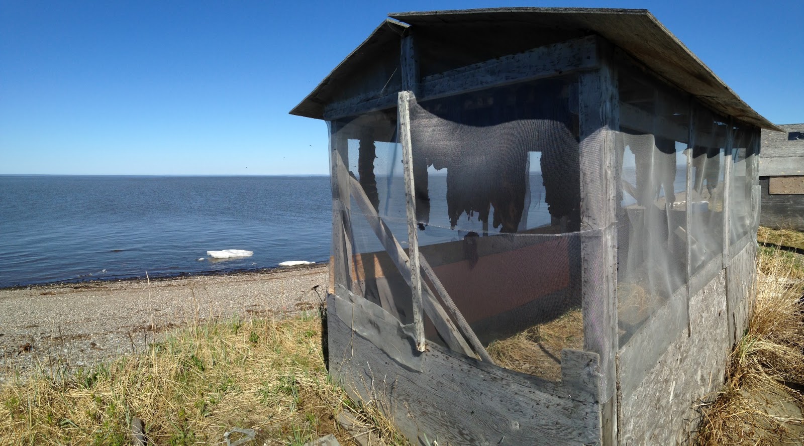 Fieldwork, Travel, and Food: Kotzebue