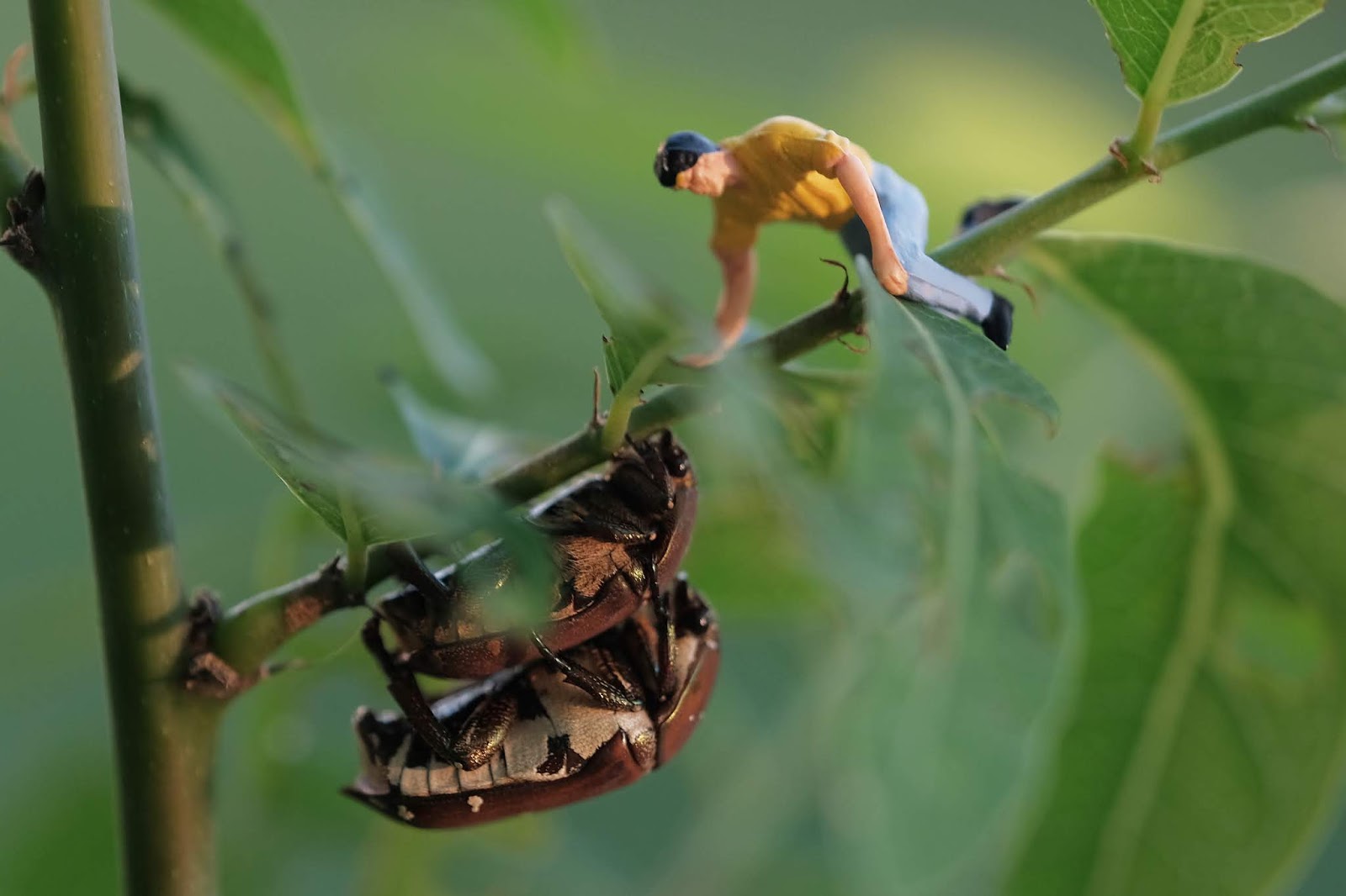 Fotografi Makro Dengan Menggunakan Miniatur - Miniatur Fotografi