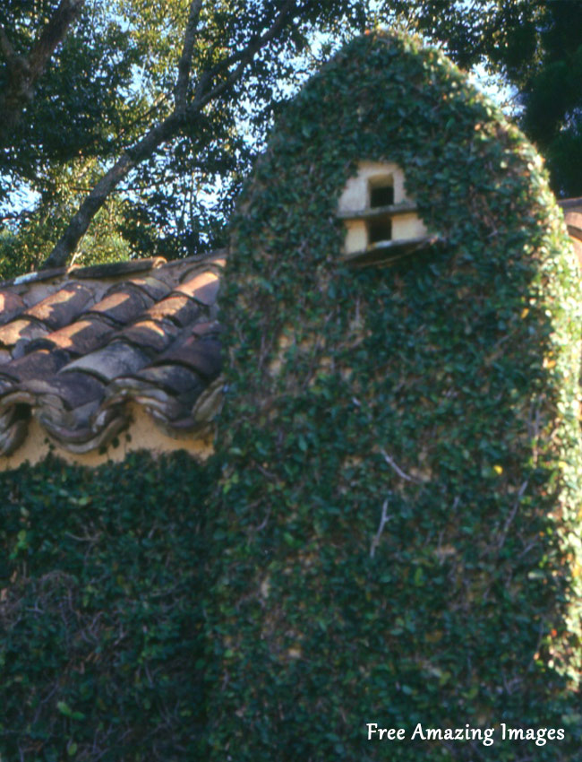 Free Amazing Images: 26 Best And Most Creative Bird House Designs