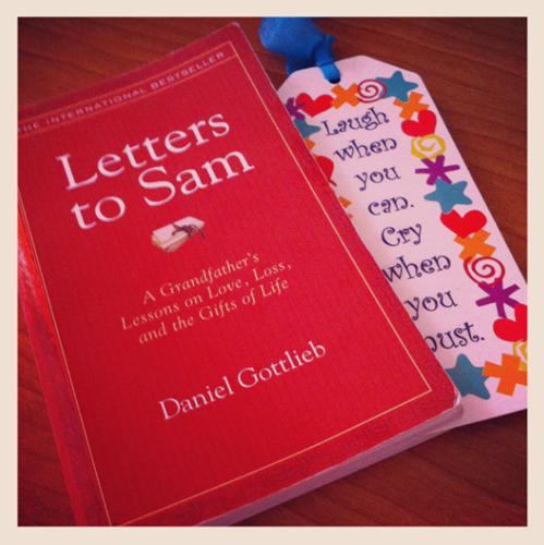 SzeEe ♥Ee-ternity♥: Books Review | Letters to Sam by Daniel Gottlieb