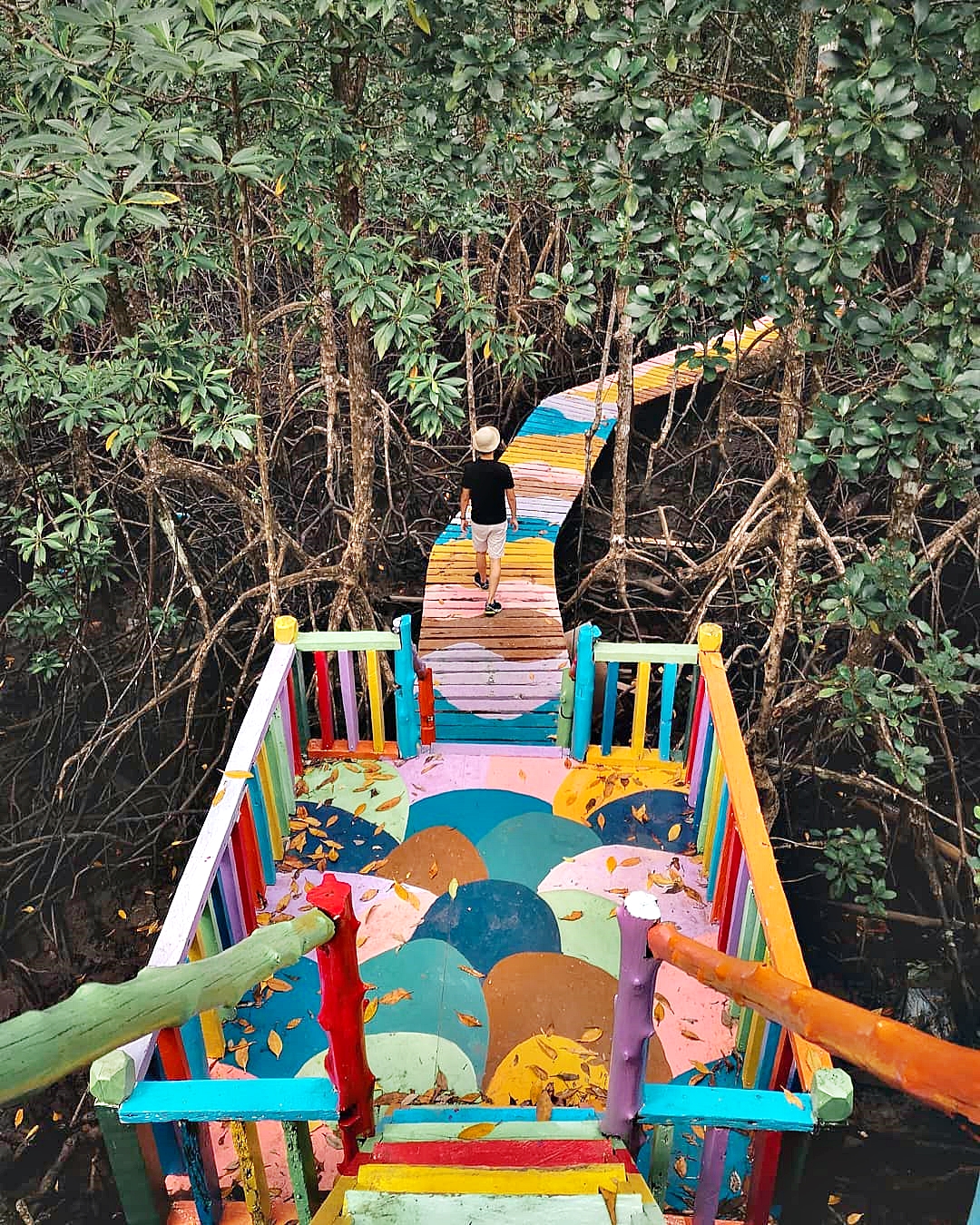 Pitas Bay View Sabah Malaysian Borneo (36 Photos)