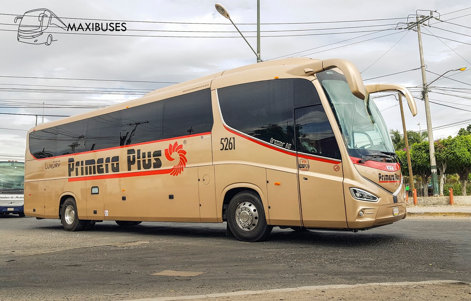 MAXIBUSES: PRIMERA PLUS