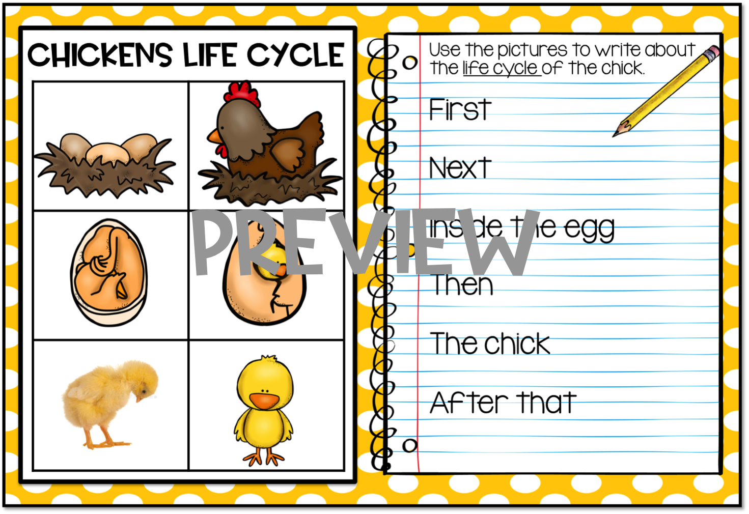 1st Grade Hip Hip Hooray!: Chicks and Bunnies ... Using informational ...