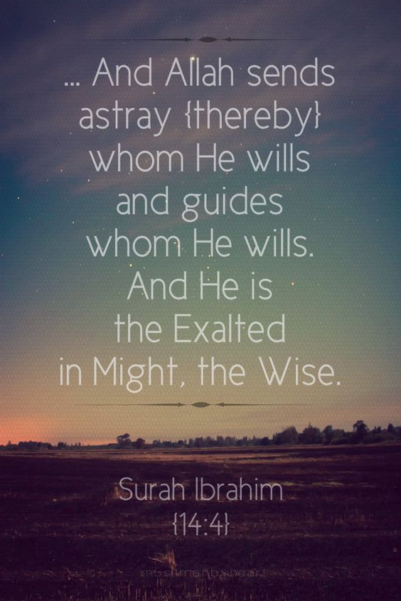 50 Beautiful Holy Quran Quotes Collection [WITH PICTURES]