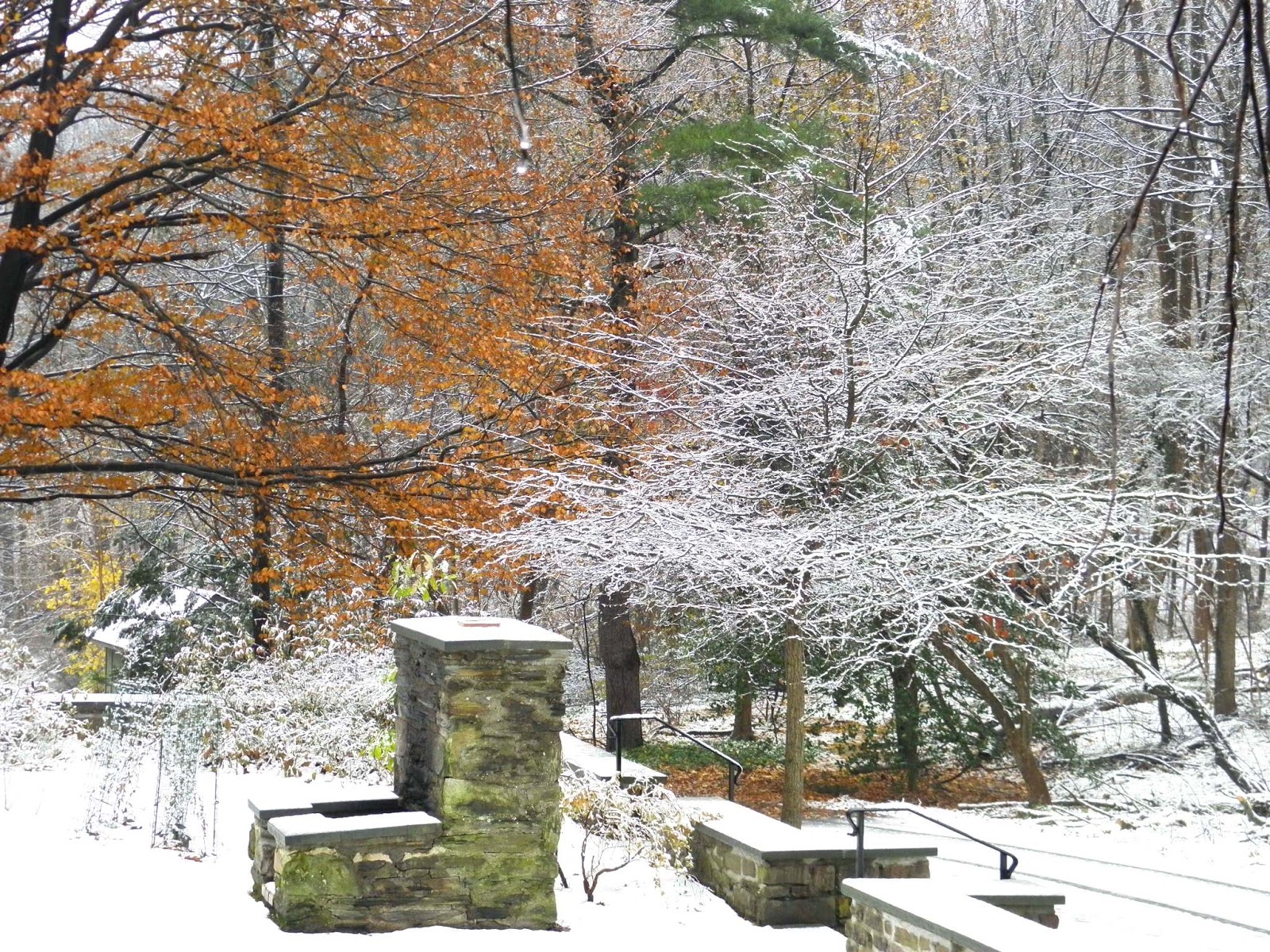 First Snowfall of the Season