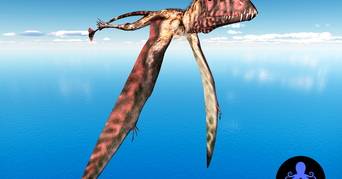 FOSSIL HUNTRESS: DIMORPHODON: TWO TOOTH PTERODACTYLUS