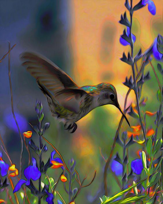 New Cultura, VEDEC: A lenda Maia do beija-flor. The Mayan legend of the ...