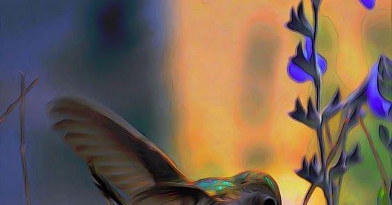 New Cultura, VEDEC: A lenda Maia do beija-flor. The Mayan legend of the ...