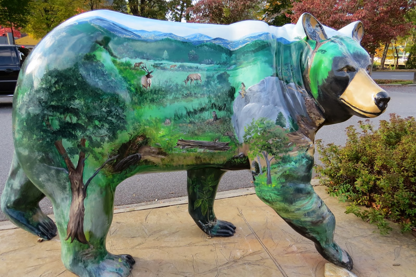 Nomadic Newfies: Flora and Fauna, Cherokee Bears Project